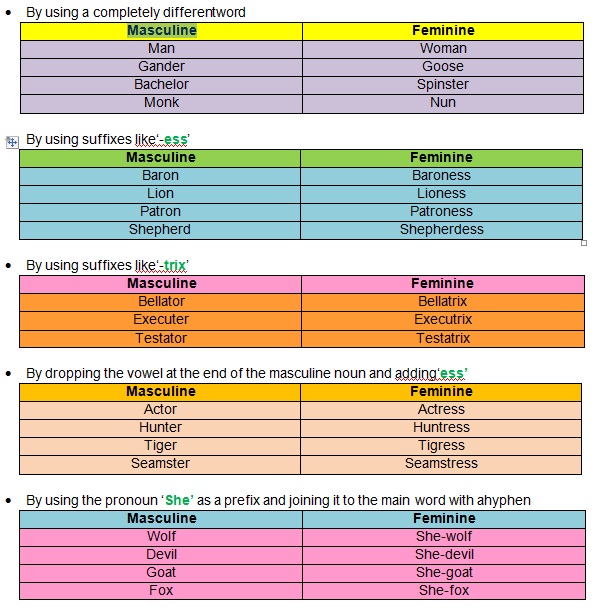 NCERT 6TH CLASS ENGLISH GRAMMAR NOUNS