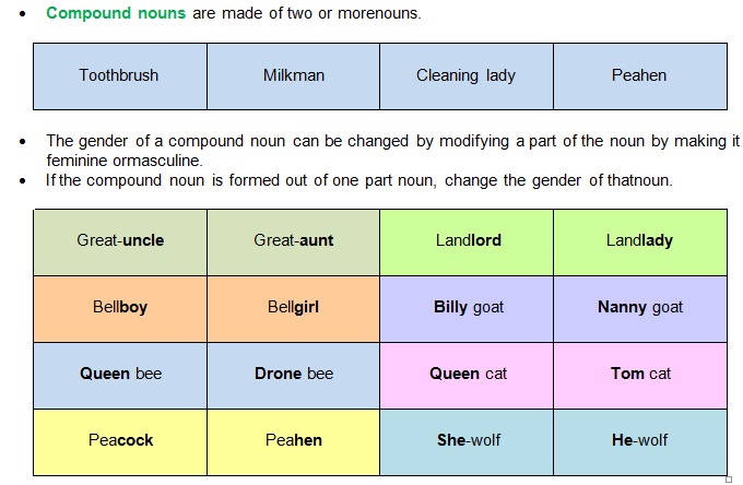 NCERT 6TH CLASS ENGLISH GRAMMAR NOUNS