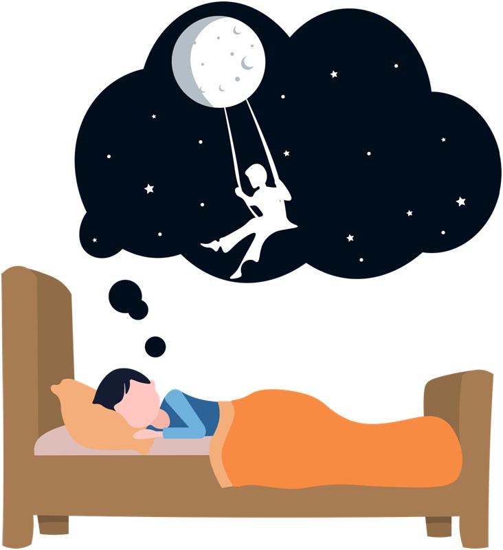NCERT 6TH CLASS ENGLISH SUMMARY SUPPLEMENTARY THE WONDER CALLED SLEEP